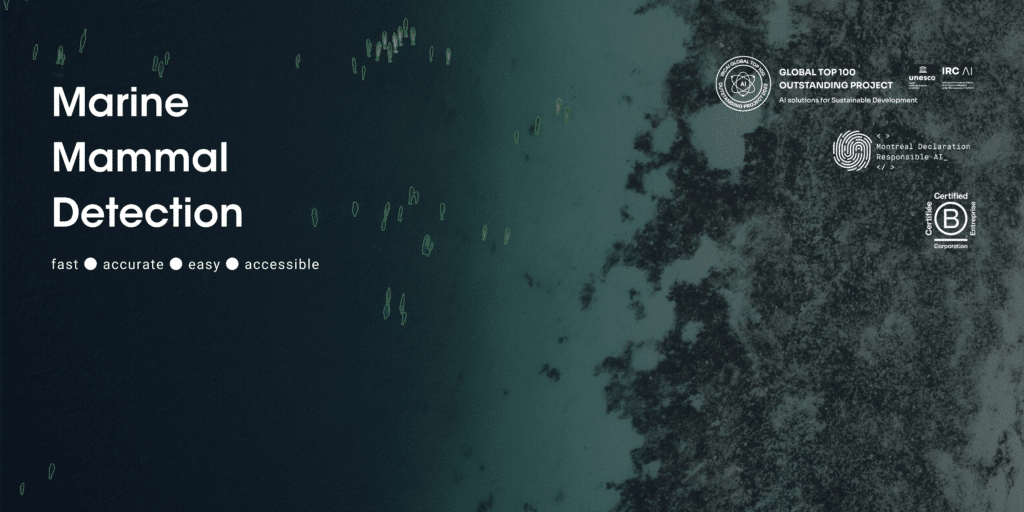 Data Visualisation – Sinay Partners